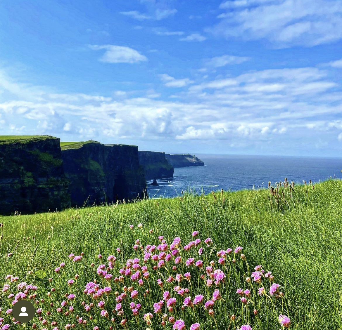 From Dublin: Bird of Prey, Aillwee Cave & Cliffs of Moher (Winter ...